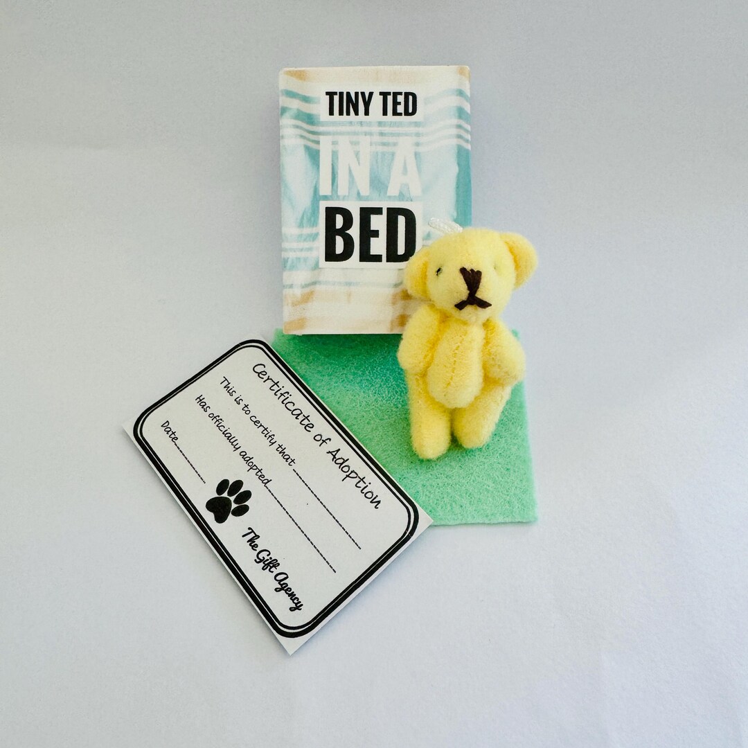Tiny Ted in a Bed - Yellow Teddy Bear With Adoption Certificate in ...