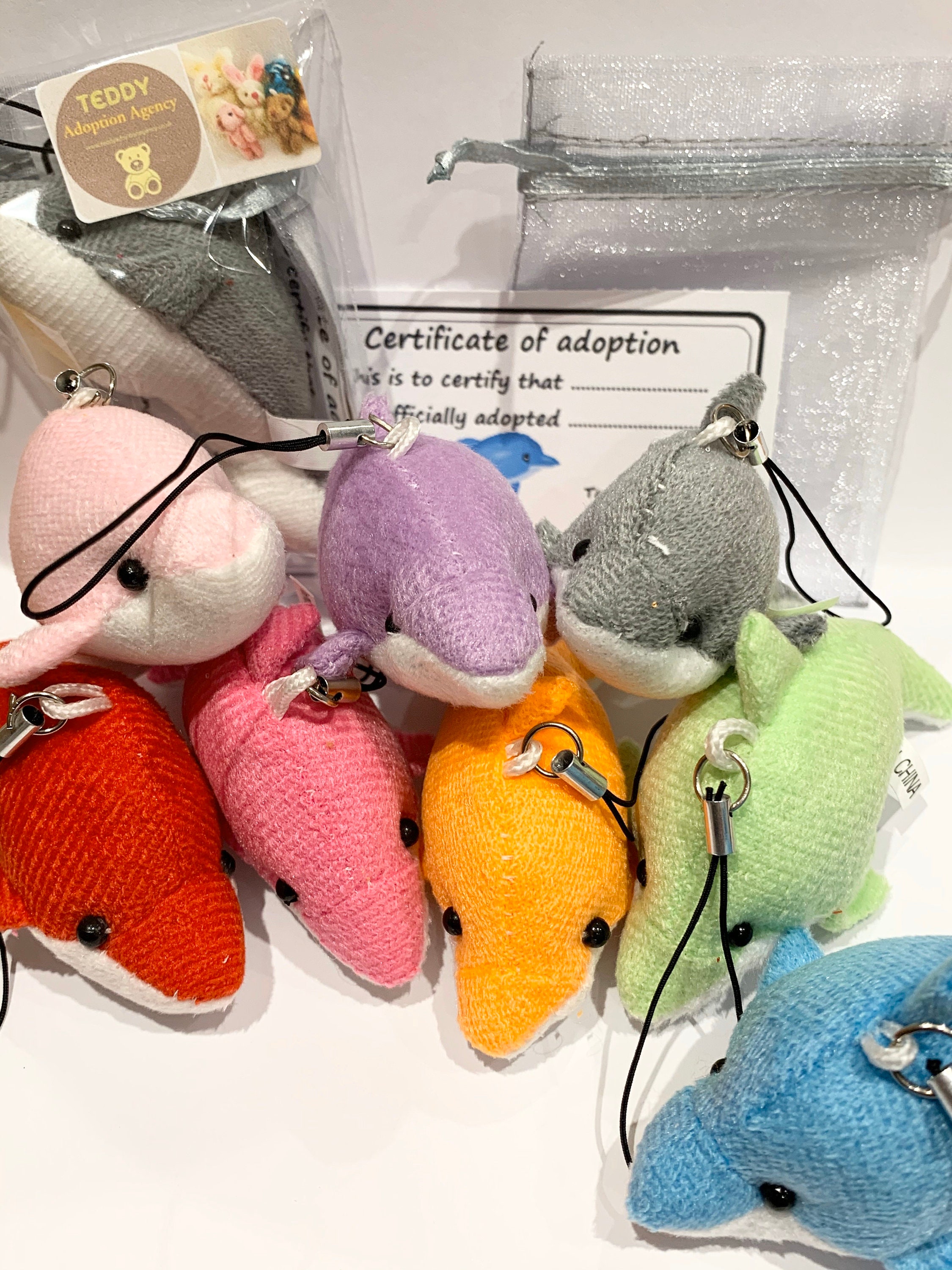 Cuddly Dolphin and Adoption Certificate Party Favour - Etsy