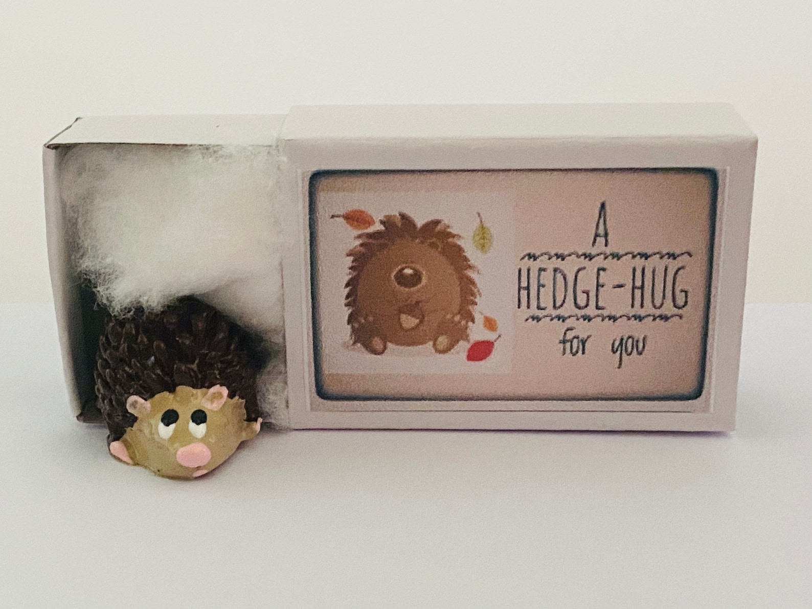 A Hedge-hug for You in a Box Mini Prickly Hedgehog Gift - Etsy