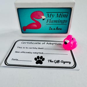 My Mini Flamingo in a Box Matchbox Mini Novelty Silly Gift - Etsy