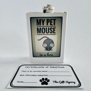 My Pet Mouse in a Box Matchbox Mini Novelty Silly Gift - Etsy