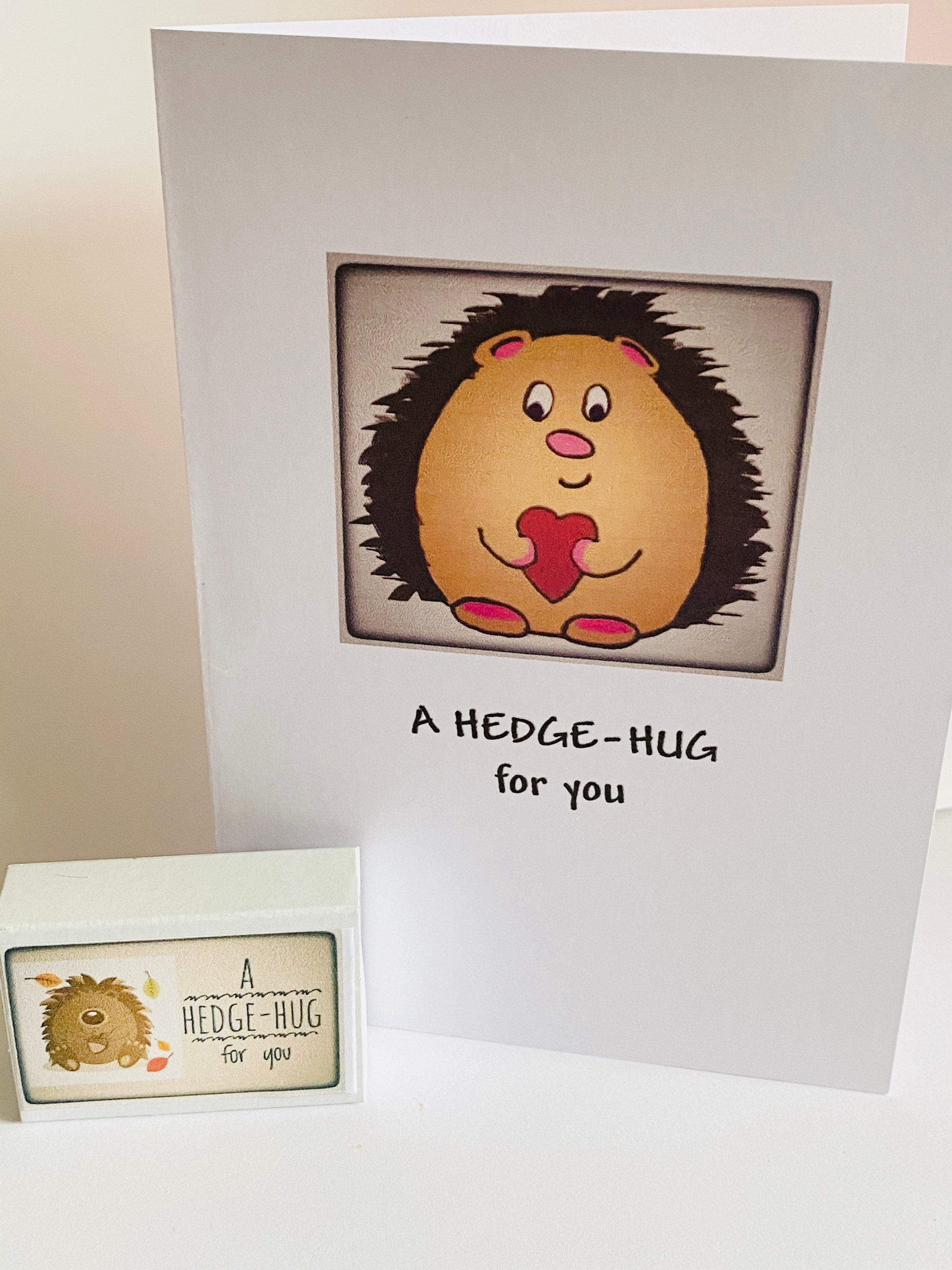 A Hedge-hug for You in a Box Mini Prickly Hedgehog Gift - Etsy