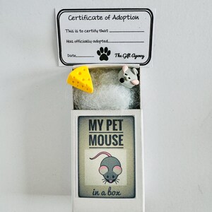 My Pet Mouse in a Box Matchbox Mini Novelty Silly Gift - Etsy
