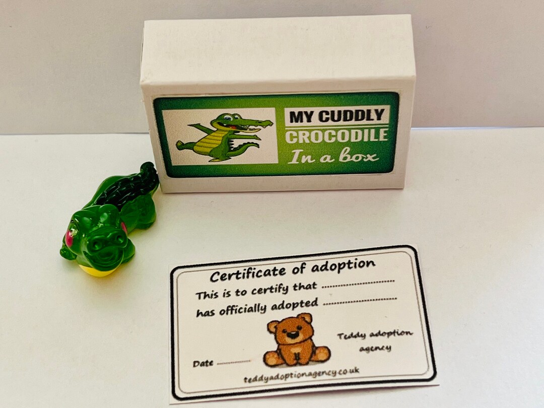 My Cuddly Crocodile in a Box With an Adoption Certificate Mini - Etsy