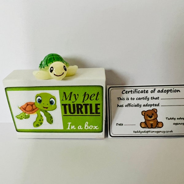 Turtle Items - Etsy