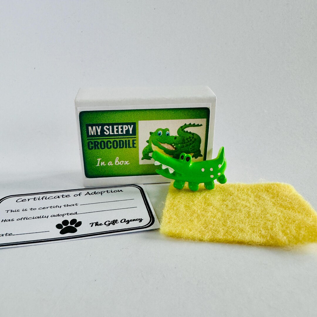 My Sleepy Crocodile in a Box Matchbox Mini Novelty Silly Gift - Etsy