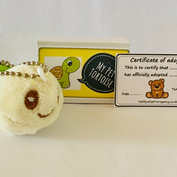 Turtle Adoption Certificate - Etsy