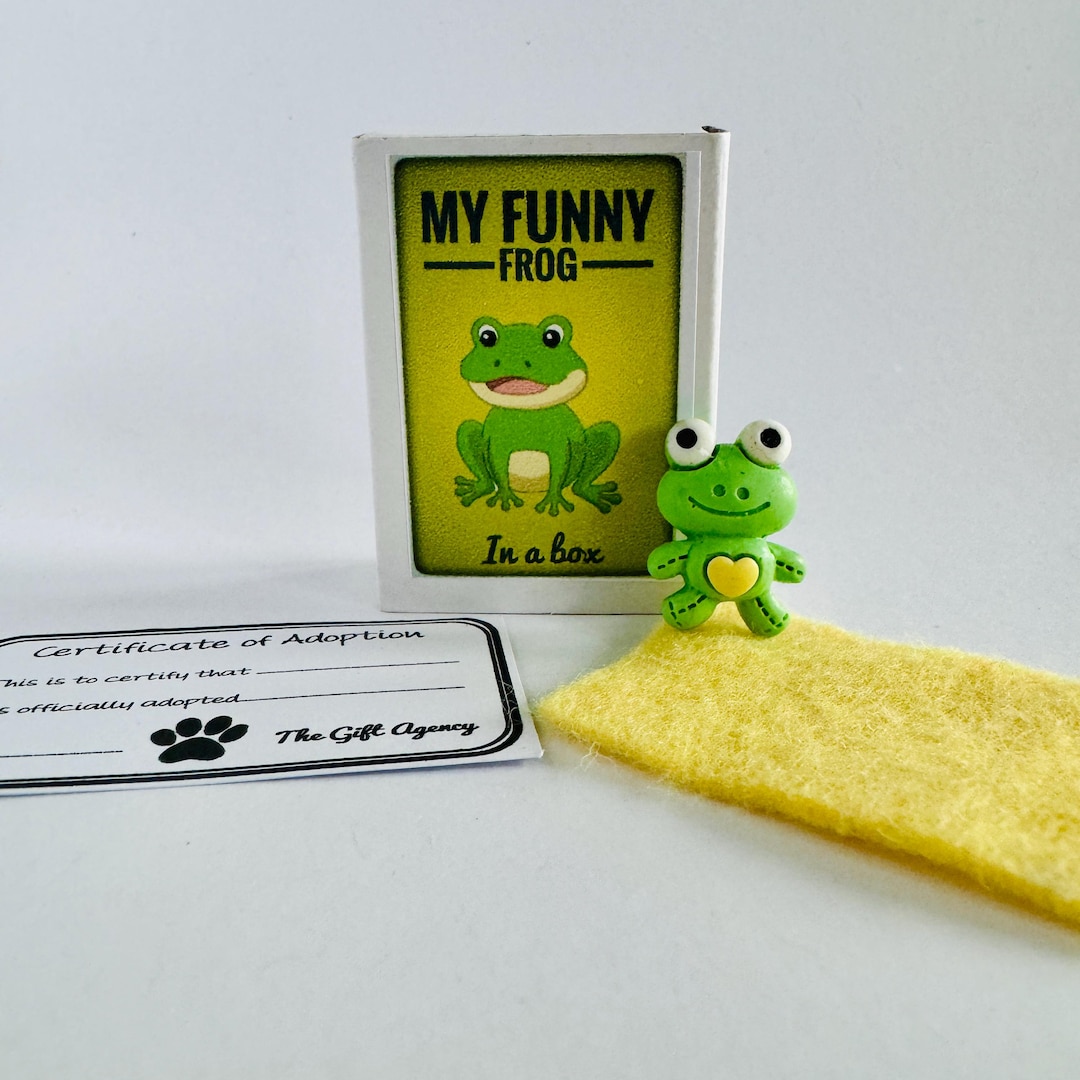My Funny Frog in a Box Matchbox Mini Novelty Silly Gift - Etsy