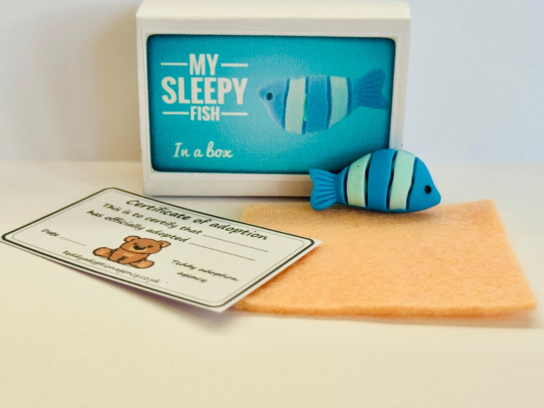 My Sleepy Fish in a Box Matchbox Mini Novelty Silly Gift - Etsy