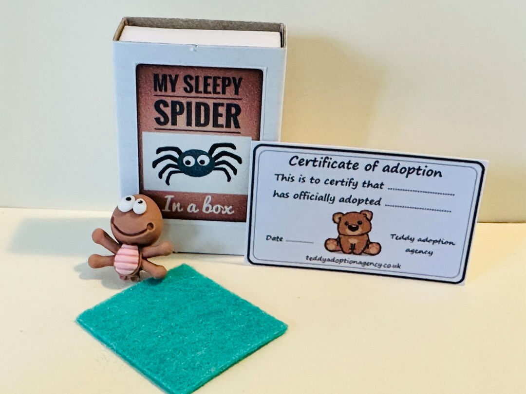 My Sleepy Spider in a Box Matchbox Mini Novelty Silly Gift - Etsy