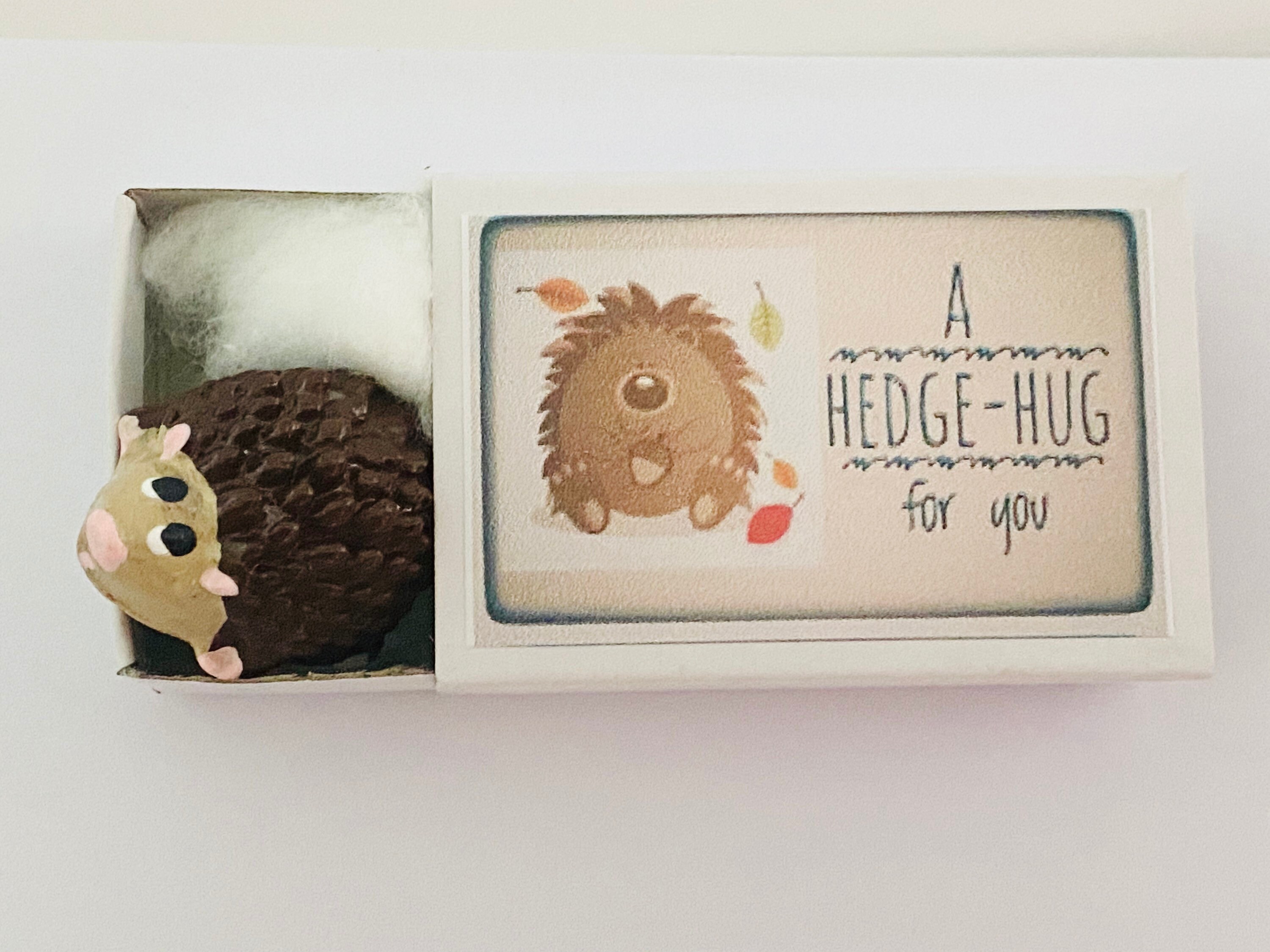 A Hedge-hug for You in a Box Mini Prickly Hedgehog Gift - Etsy