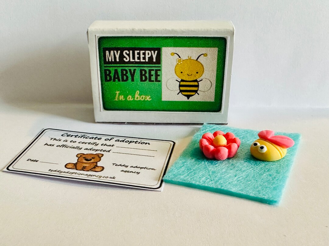 My Sleepy Baby Bee in a Box Matchbox Mini Novelty Silly Gift - Etsy