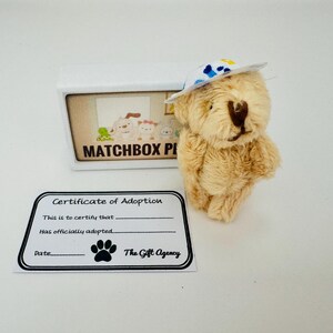 Matchbox Pets Mini Teddy Bear in Cap, Mini Gift - Etsy