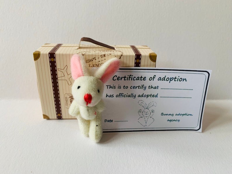 Tiny Lucky White Rabbit Teddy With Adoption Certificate in - Etsy