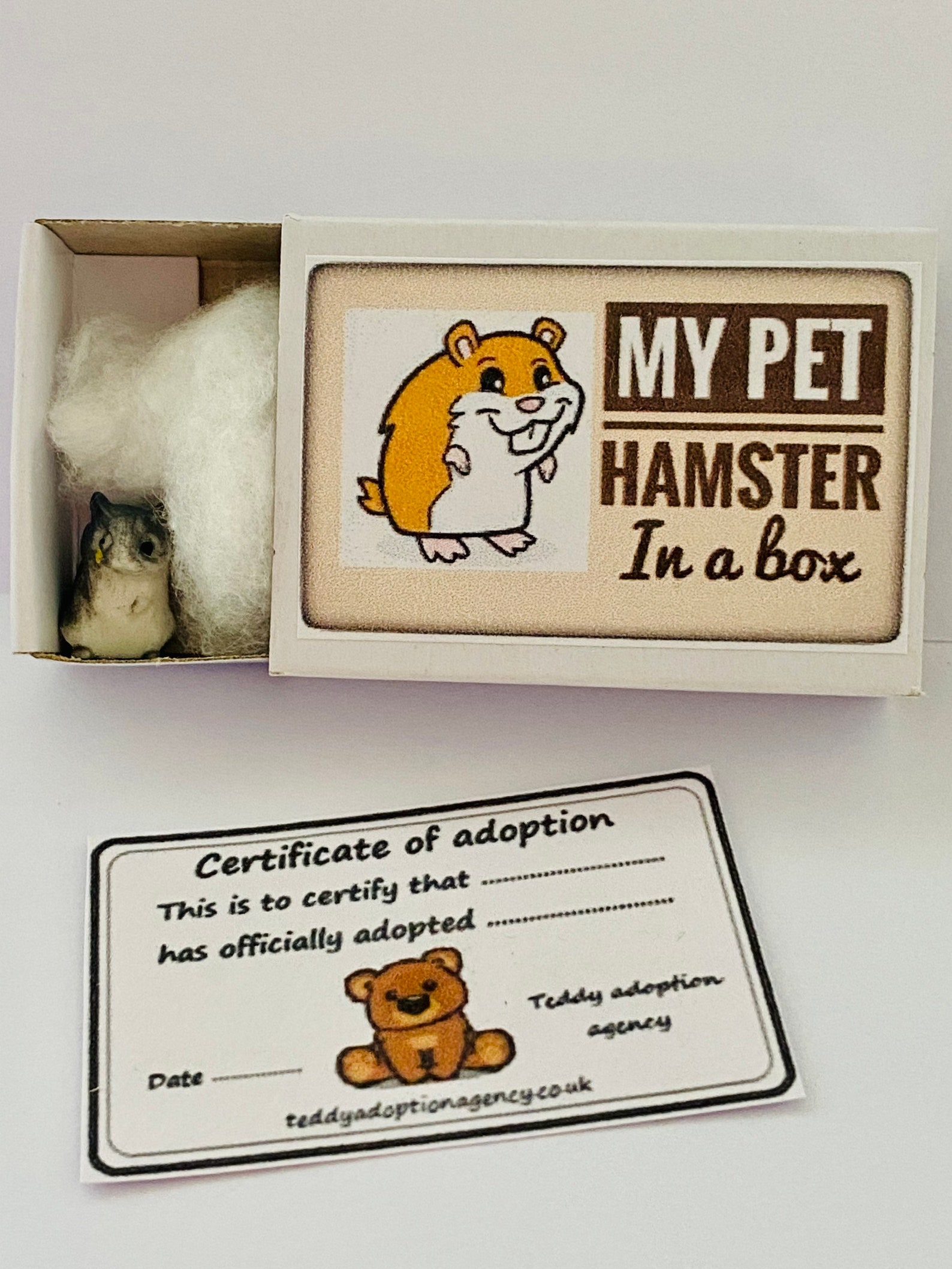 My Pet Grey Hamster in a Box Matchbox Mini Novelty Silly Gift - Etsy