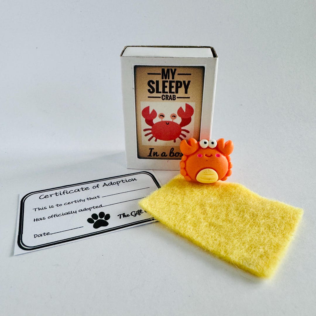 My Sleepy Crab in a Box Matchbox Mini Novelty Silly Gift - Etsy Australia