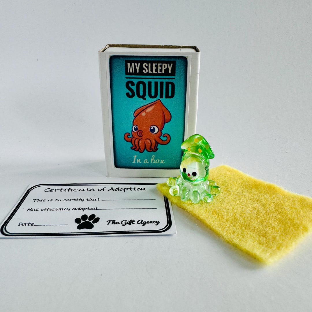 My Sleepy Squid in a Box Matchbox Mini Novelty Silly Gift - Etsy