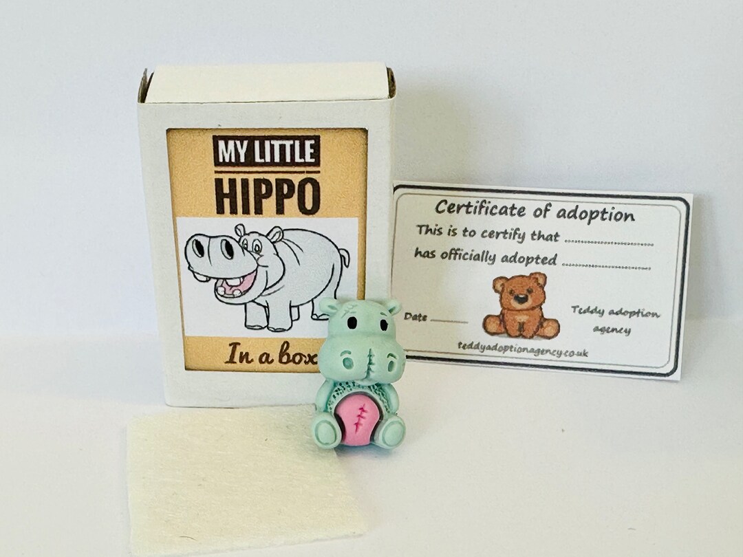 My Little Hippo in a Box Matchbox Mini Novelty Silly Gift - Etsy