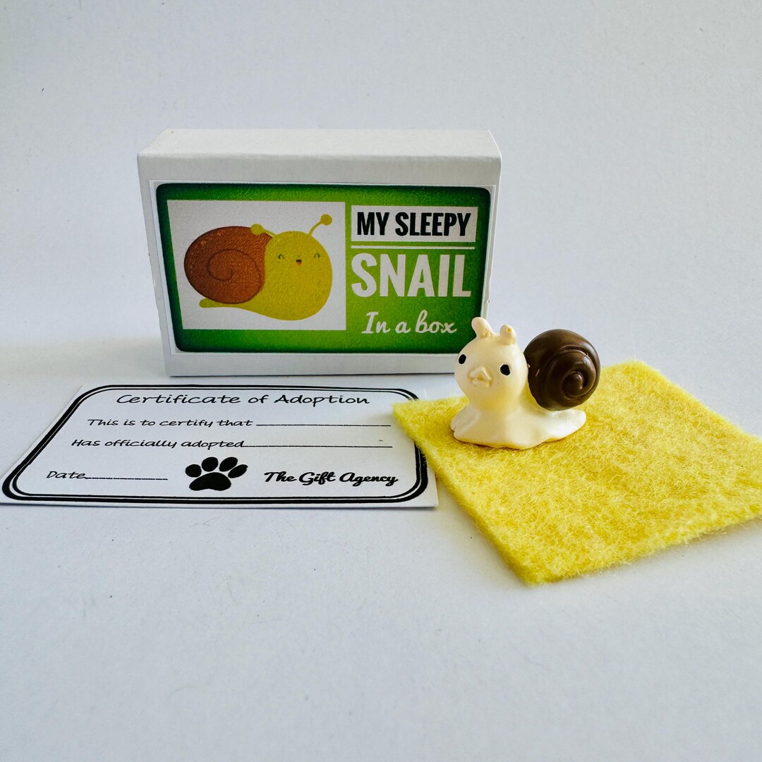 Mini Pets - My Sleepy Snail in a Box With Adoption Certificate - Etsy