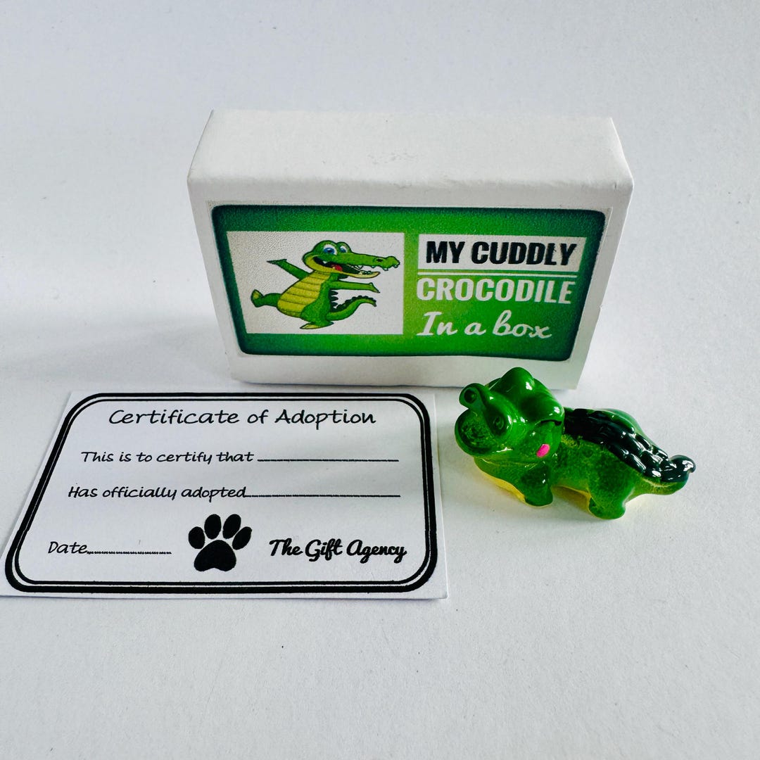My Cuddly Crocodile in a Box With an Adoption Certificate Mini Novelty ...