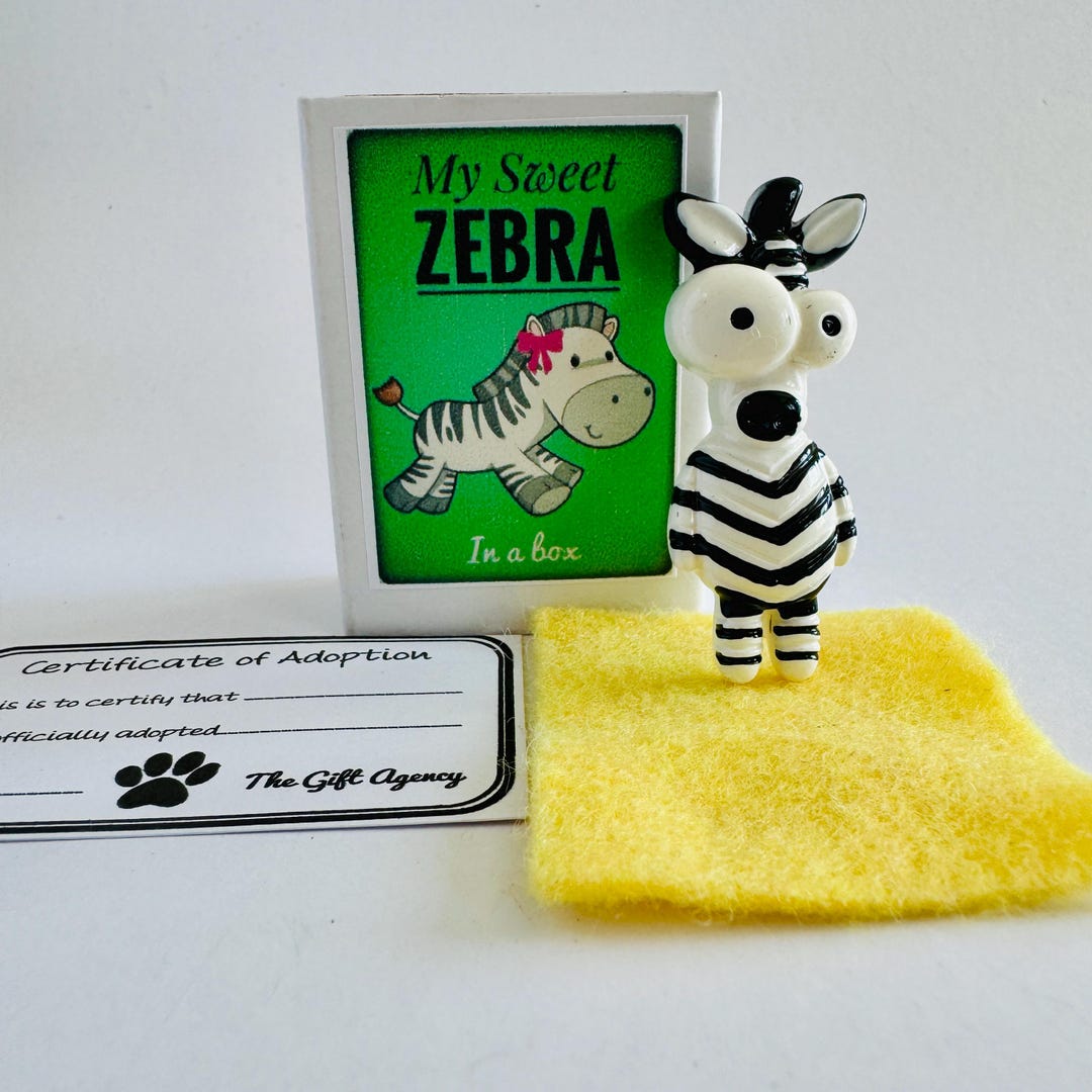 My Sweet Zebra in a Box Matchbox Mini Novelty Silly Gift - Etsy