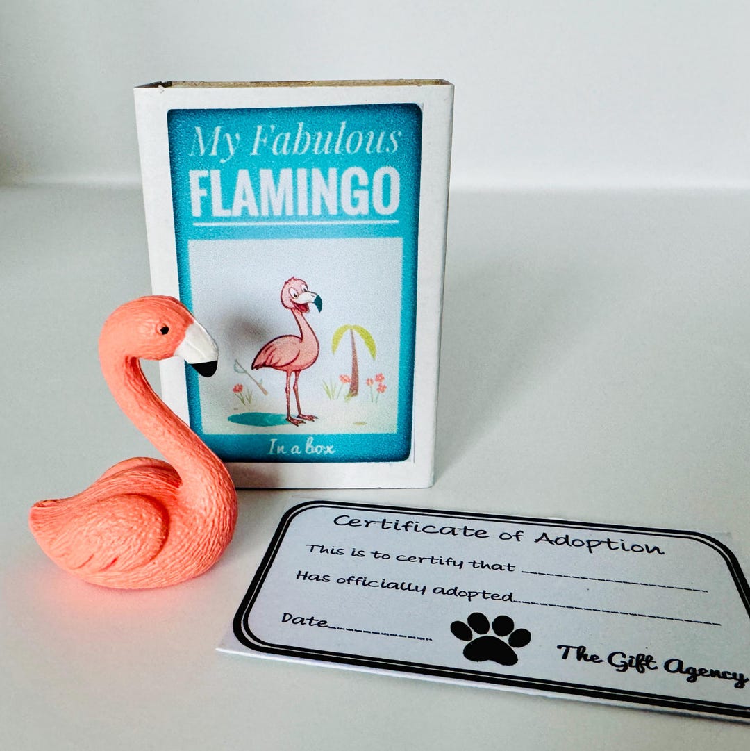 My Fabulous Flamingo in a Box Matchbox Mini Novelty Silly Gift - Etsy