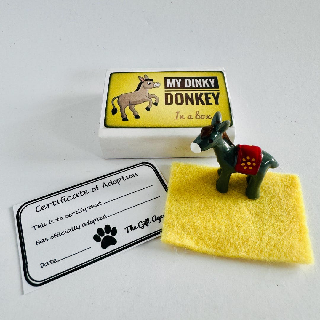 My Dinky Donkey in a Box Matchbox Mini Novelty Silly Gift - Etsy