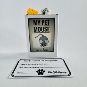 My Pet Mouse in a Box Matchbox Mini Novelty Silly Gift - Etsy