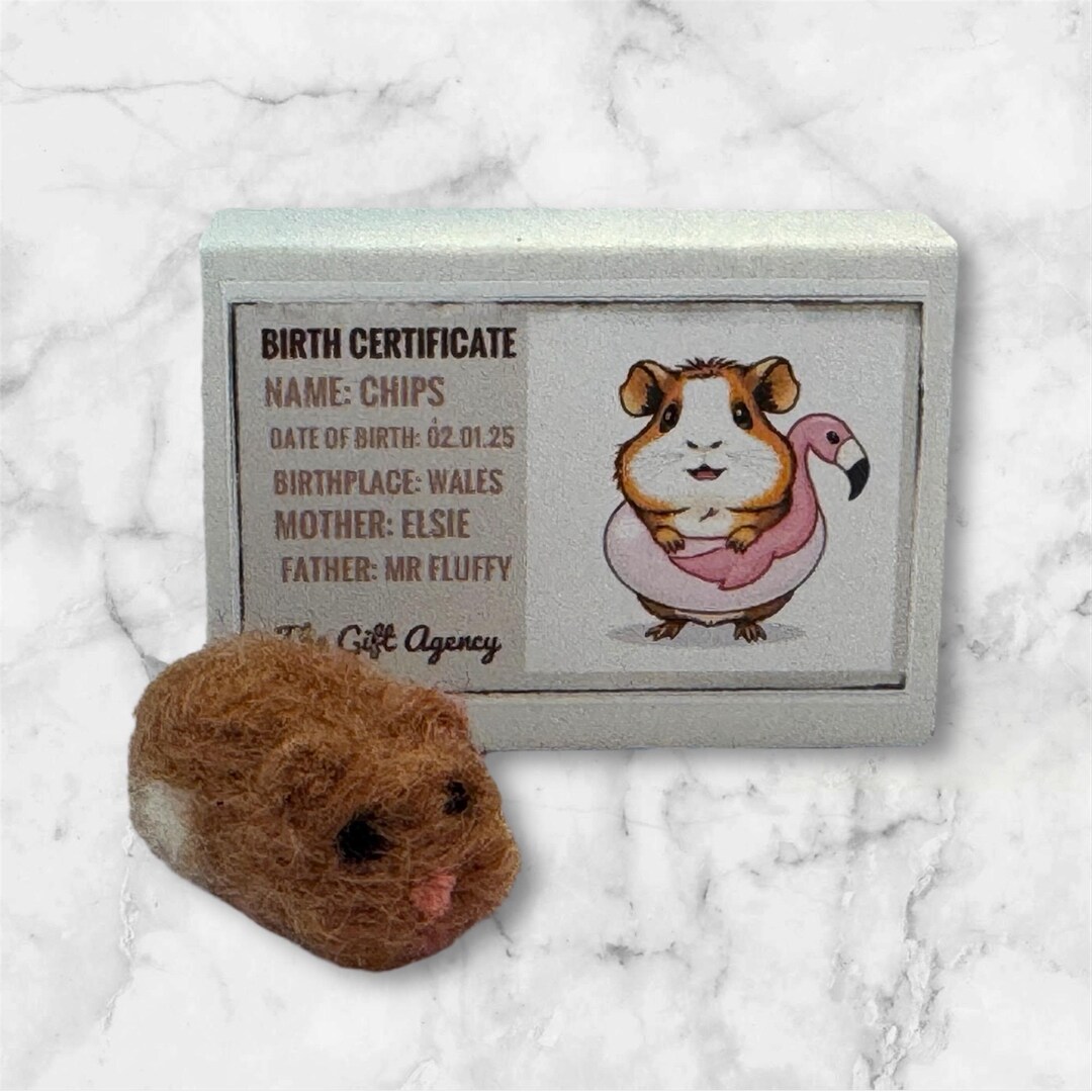 Hamster With Birth Certificate Box, Hand Crafted Wool Needle Felted ...