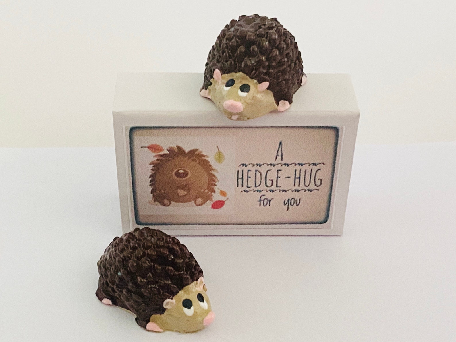 A Hedge-hug for You in a Box Mini Prickly Hedgehog Gift - Etsy