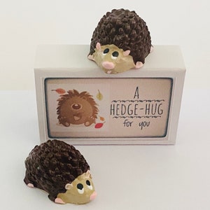 A Hedge-hug for You in a Box Mini Prickly Hedgehog Gift - Etsy