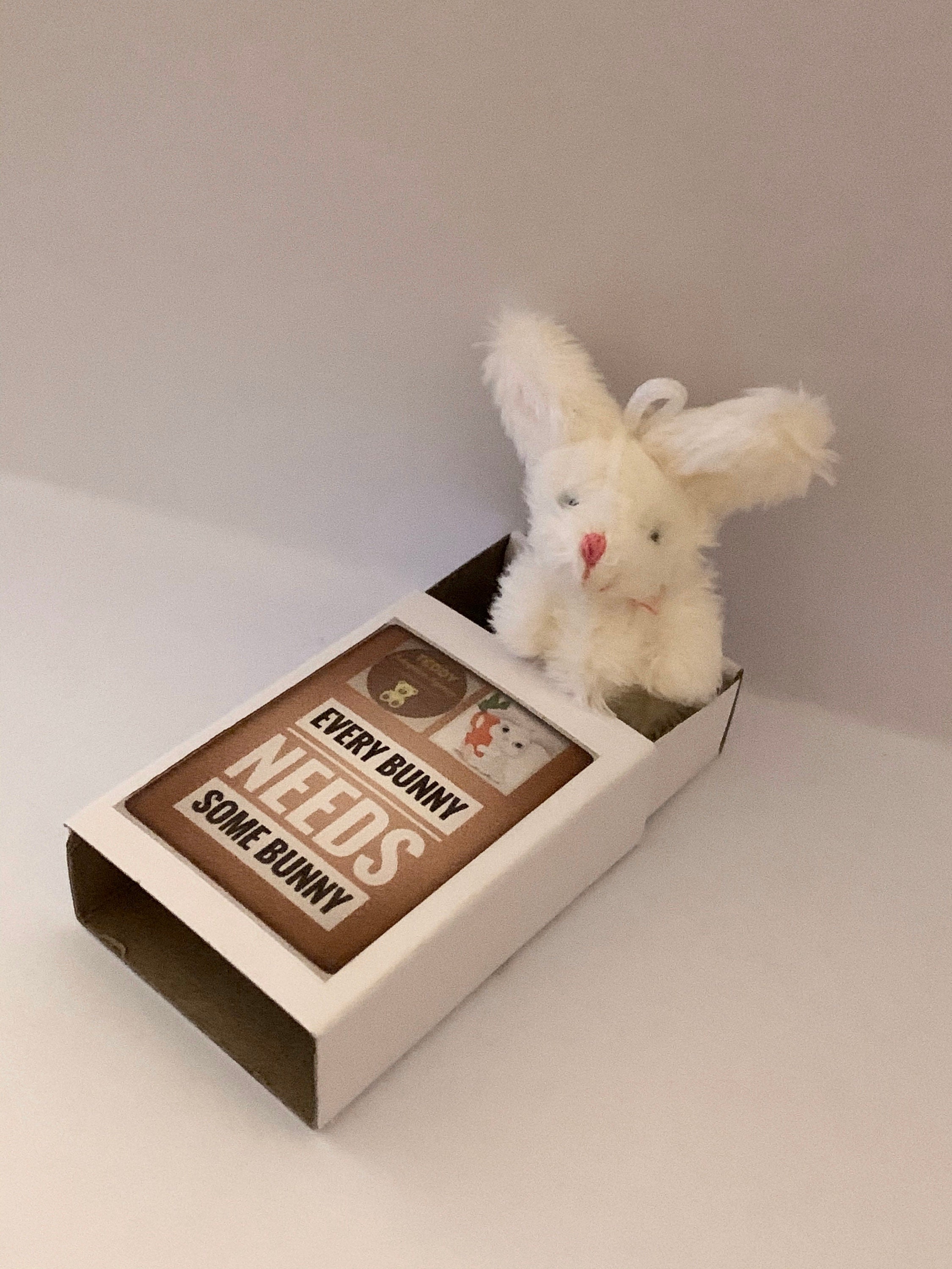 Every Bunny Needs Some Bunny Mini Rabbit in Box | Etsy