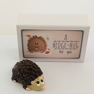 A Hedge-hug for You in a Box Mini Prickly Hedgehog Gift - Etsy