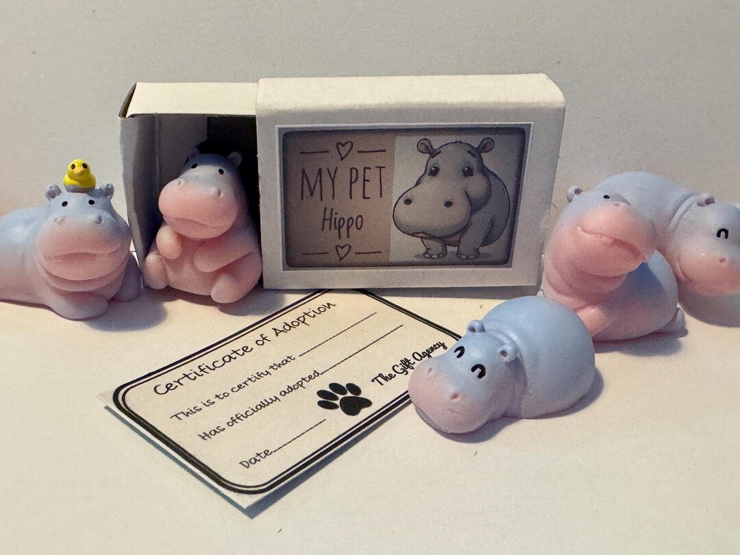 My Pet Hippo in a Box With Adoption Certificate - Choice of Poses ...