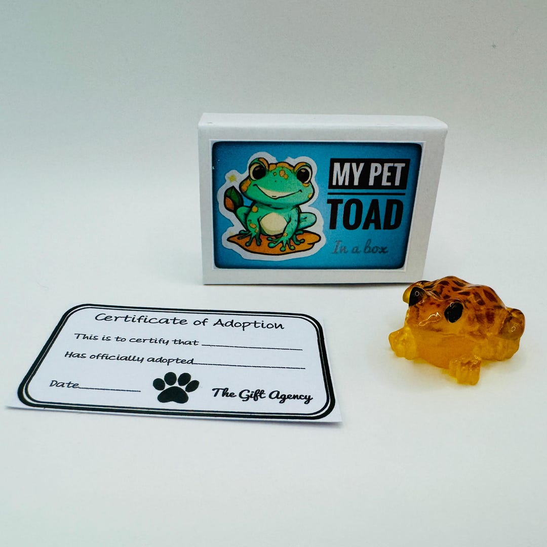 My Pet Toad in a Box Matchbox Mini Orange Toad Novelty Silly Gift - Etsy