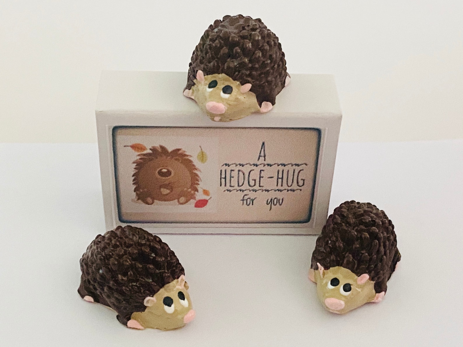 A Hedge-hug for You in a Box Mini Prickly Hedgehog Gift - Etsy