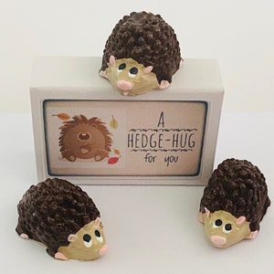 A Hedge-hug for You in a Box Mini Prickly Hedgehog Gift - Etsy