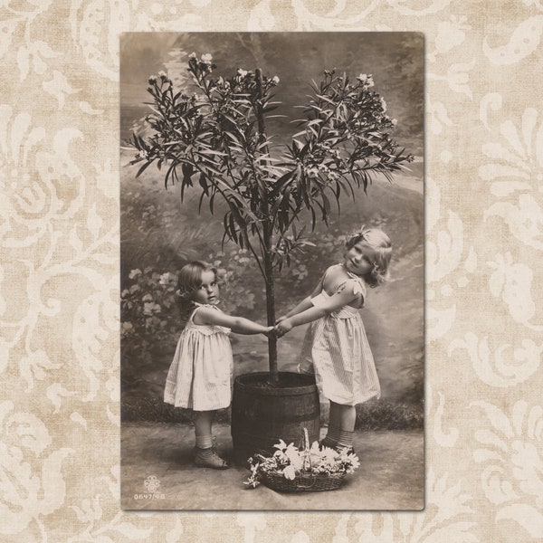 Girls With Oleander - Etsy