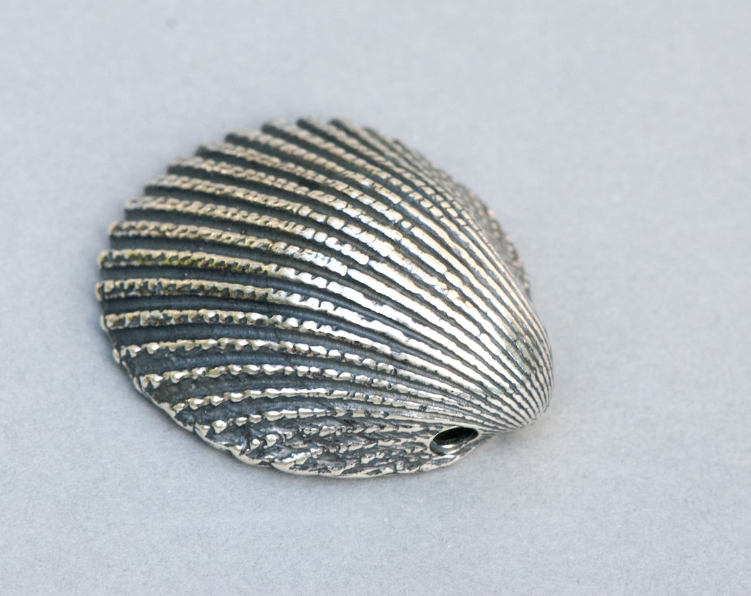 32 X 36 Mm Sterling Silver Cockle Shell Pendant, Large 15 Gram 925 ...