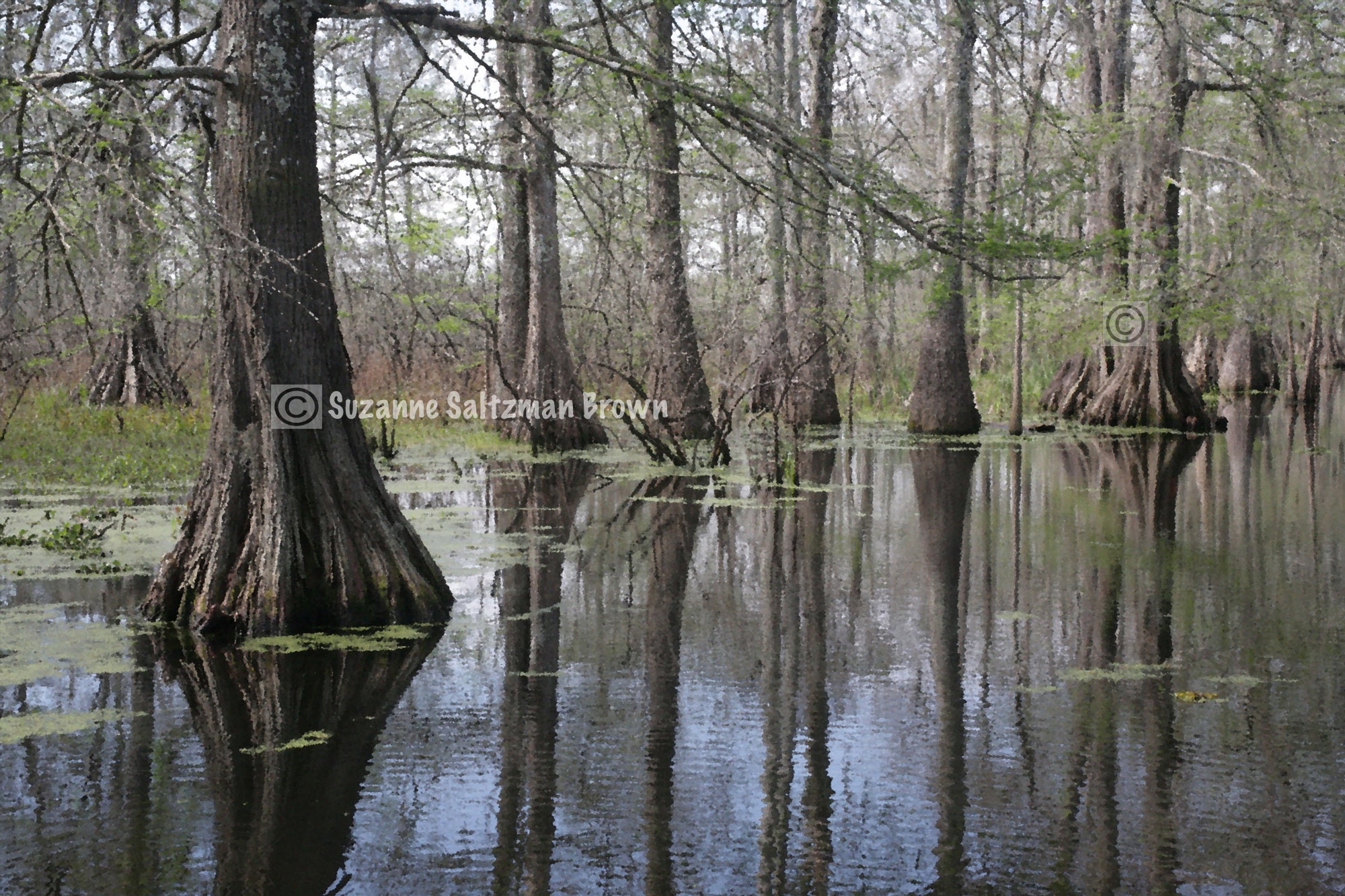 Louisiana Swamp Art Canvas Southern Louisiana Cajun Art | Etsy