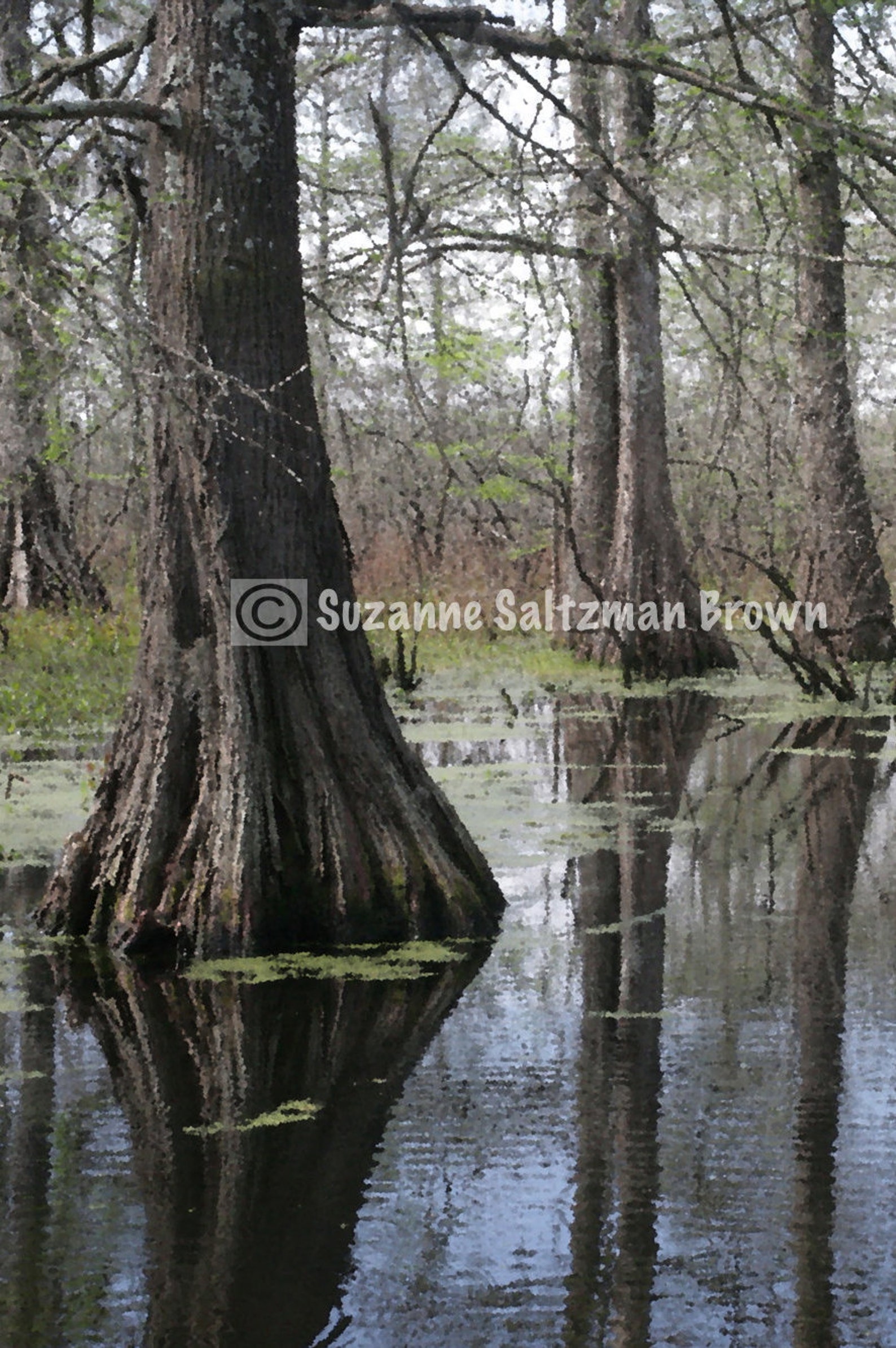 Louisiana Swamp Art Canvas Southern Louisiana Cajun Art | Etsy