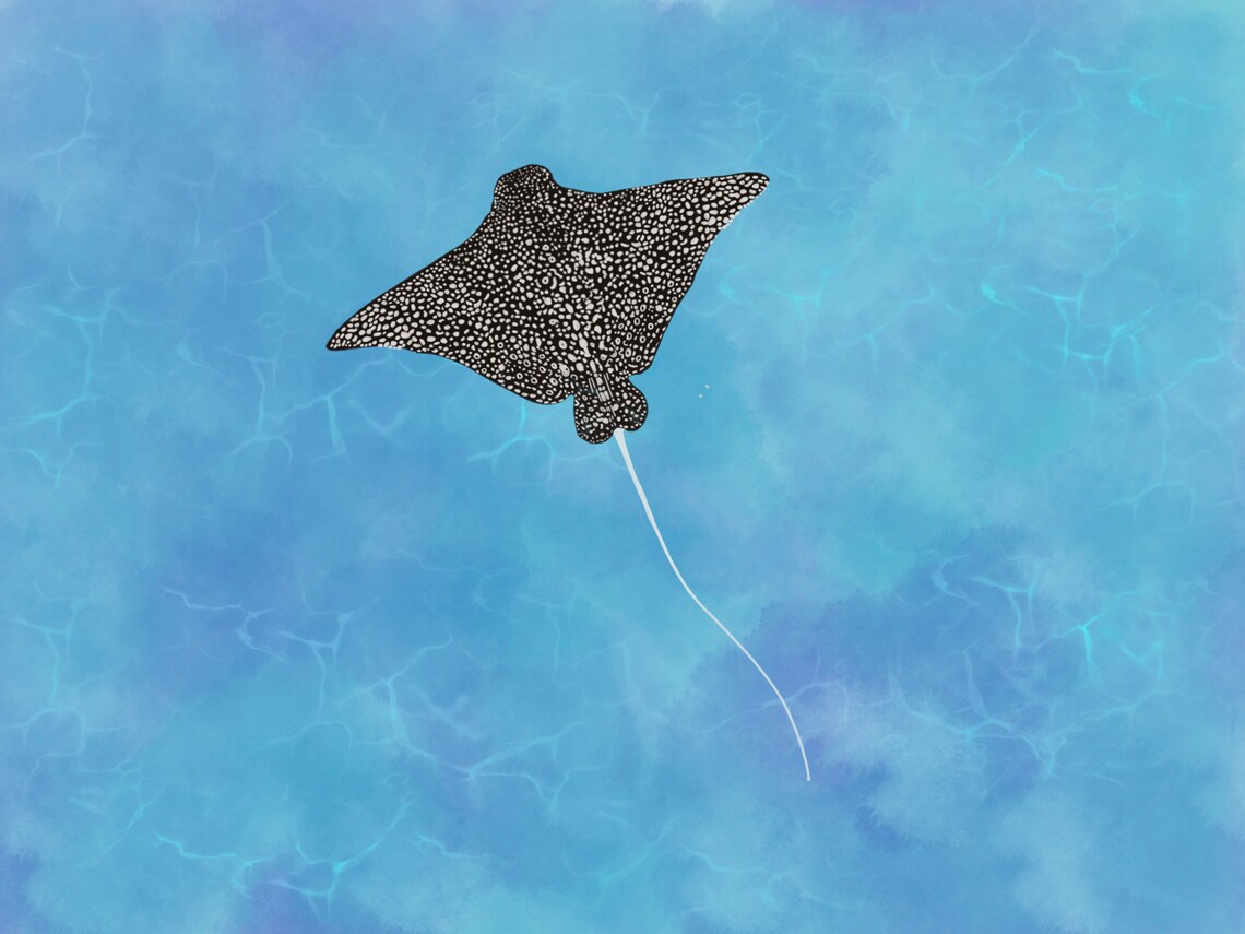 Spotted Eagle Ray Digital Download Eagle Ray Art Original - Etsy