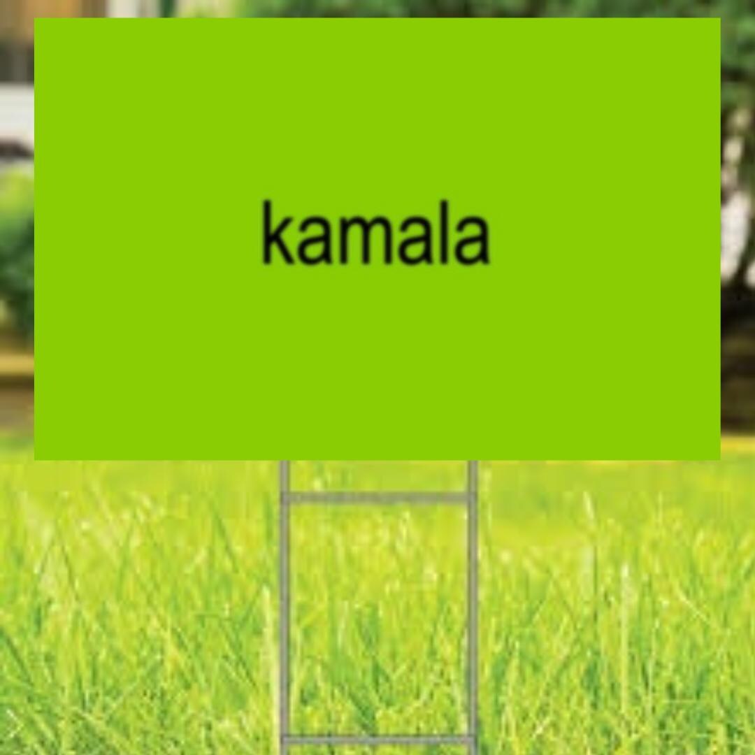 Kamala Harris Brat Yard Sign, 12”x 18” One-sided Yard Sign - Etsy