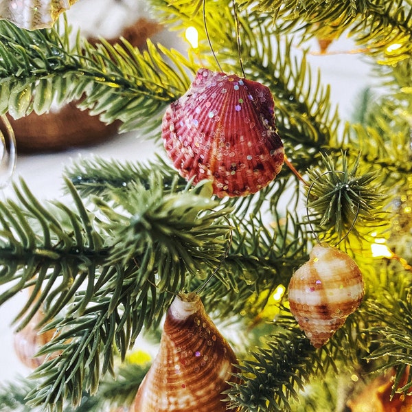 Shell Ornaments - Etsy