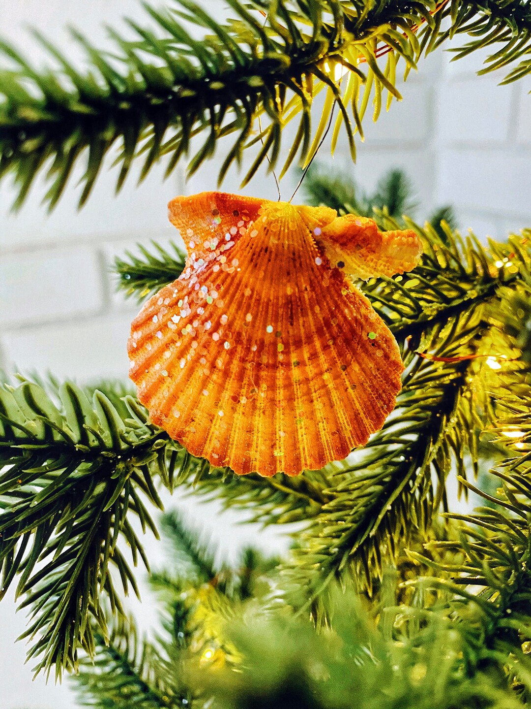 Seashell Christmas Ornaments: Scallop Shell Pack - Etsy