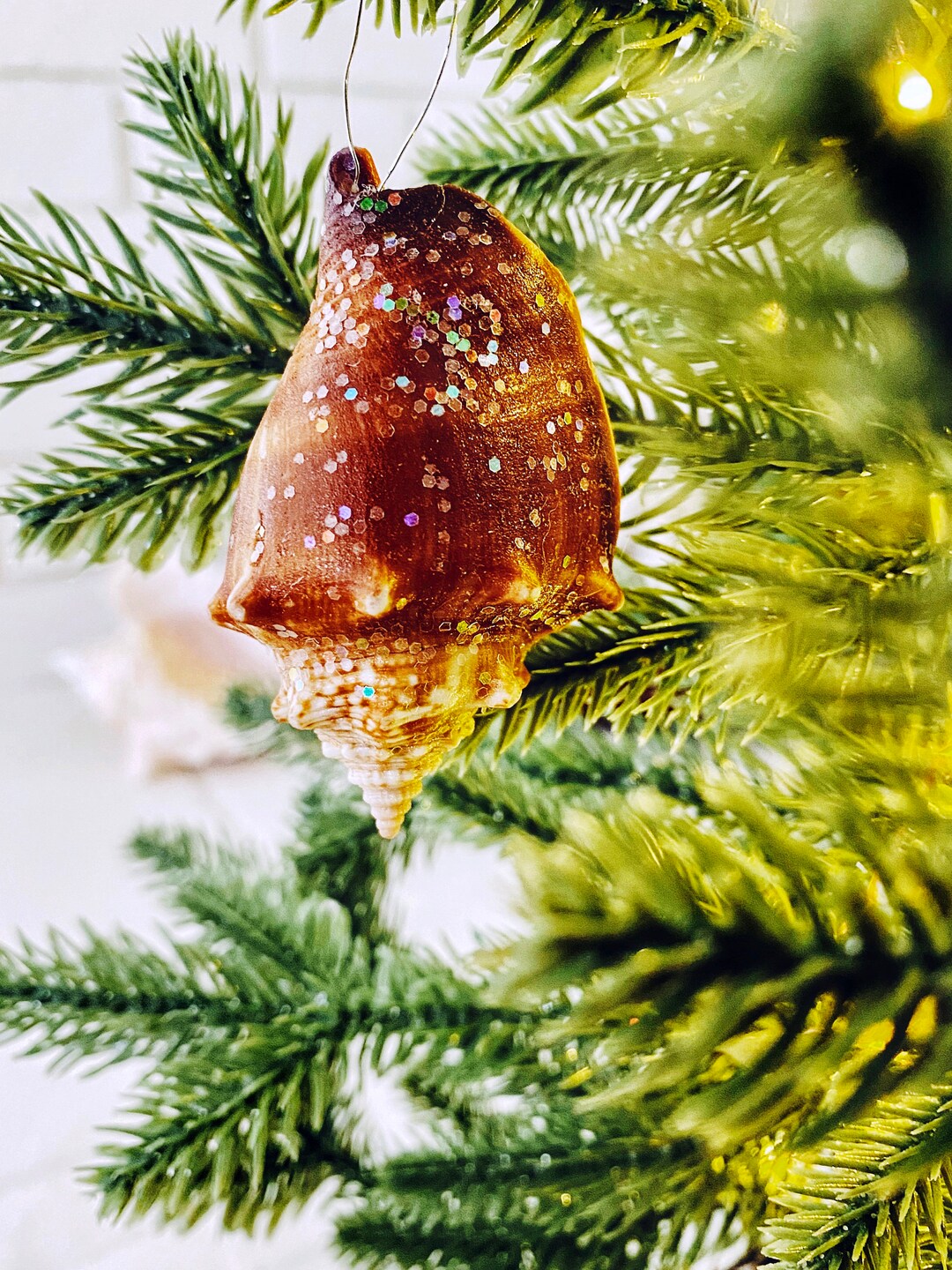 Seashell Christmas Ornaments: Conch Shell Pack - Etsy