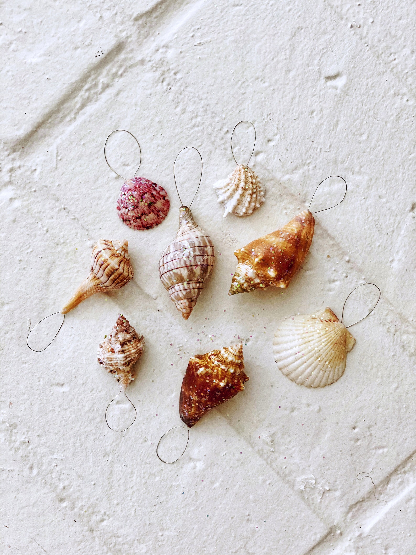 Seashell Christmas Ornaments: Variety Shell Pack - Etsy