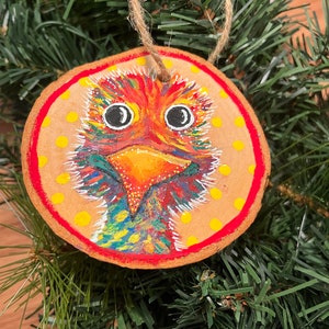 Rainbow Emu Ostrich Cartoon Bird Ornament One of a Kind Handpainted ...