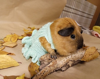 Guinea pig clothes | Etsy