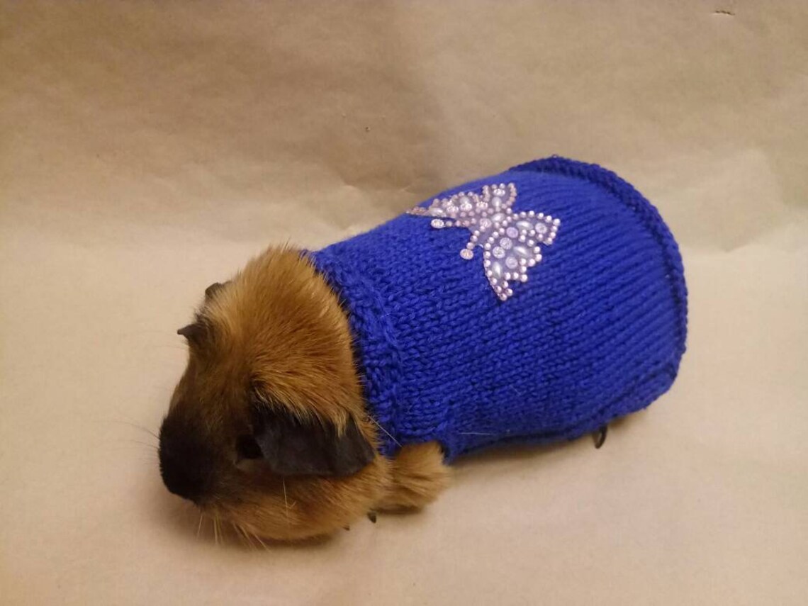 Guinea Pig Clothes Skinny Pig Blue Sweater With Butterfly | Etsy
